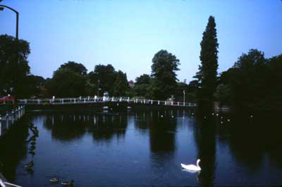 Photos of the River Wandle